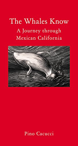 The Whales Know: Travels Along the Baja