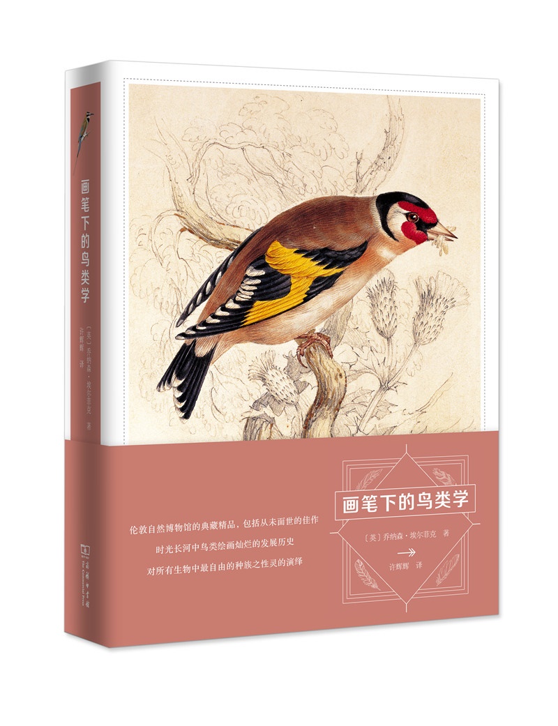 画笔下的鸟类学