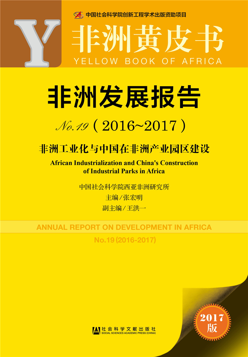 皮书系列·非洲黄皮书：非洲发展报告No.19（2016~2017）