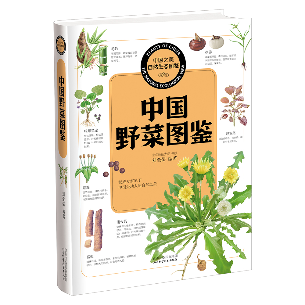 中国之美 自然生态图鉴：中国野菜图鉴