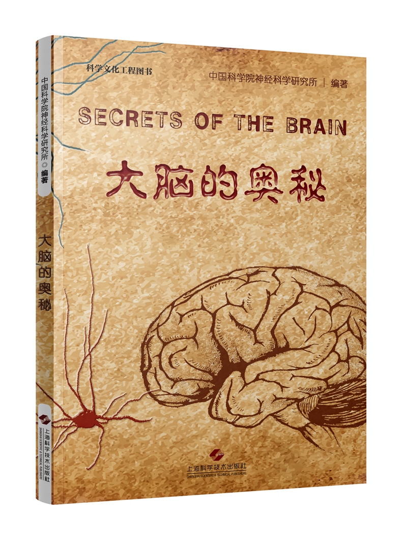 大脑的奥秘