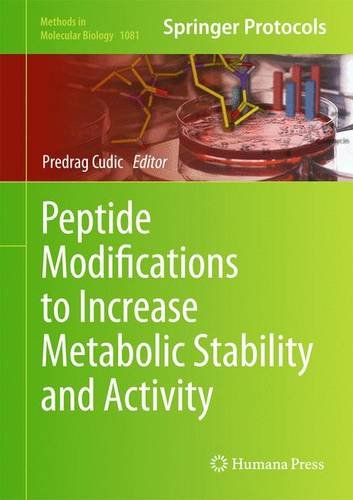 Peptide Modifications to Increas