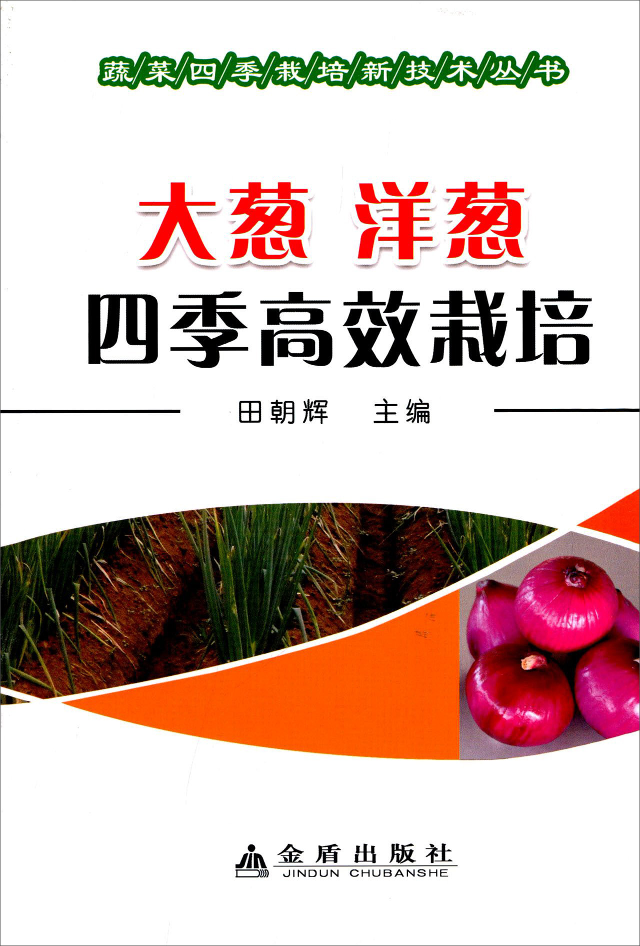 大葱洋葱四季高效栽培·蔬菜四季栽培新技术丛书