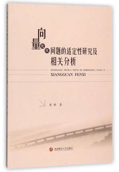 向量优化问题的适定性研究及相关分析