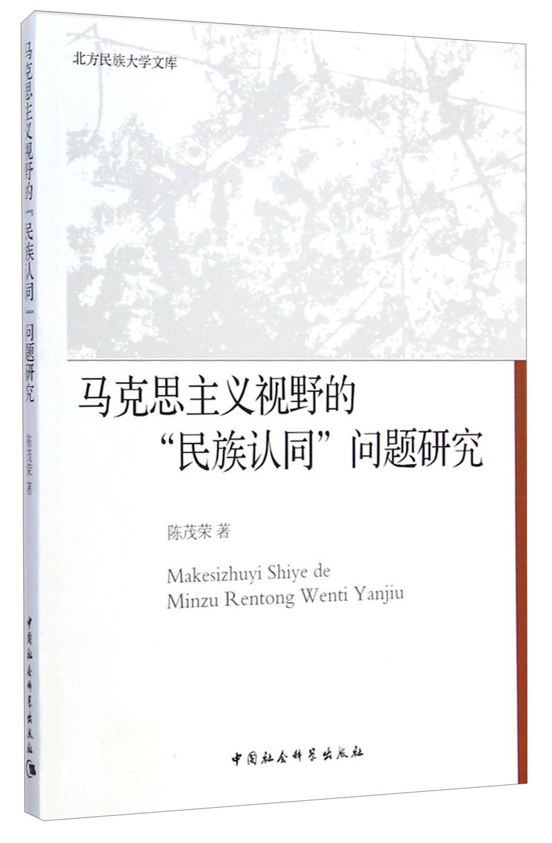 北方民族大学文库：马克思主义视野的“民族认同”问题研究