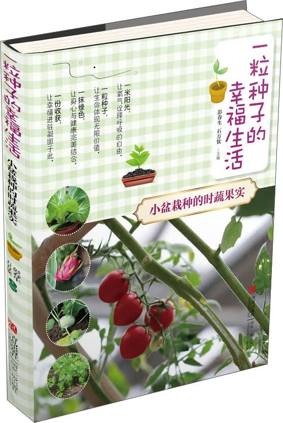 一粒种子的幸福生活·小盆栽种的时蔬果实