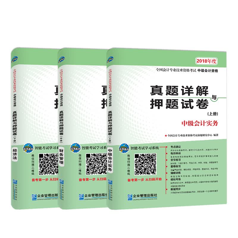备考2019 中级会计职称2018教材配套真题详解与押题试卷备考2019 中级会计实务+财务管理+经济法（套装共3册）