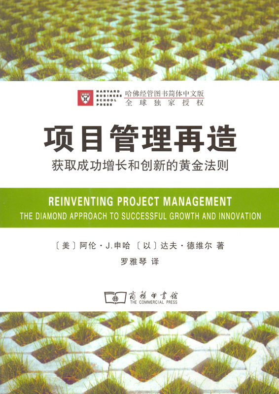 项目管理再造——获取成功增长和创新的黄金法则