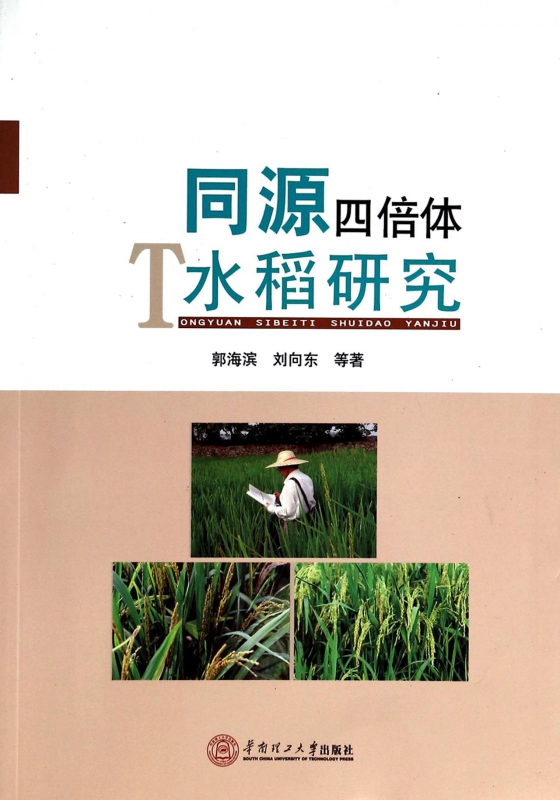 同源四倍体水稻研究