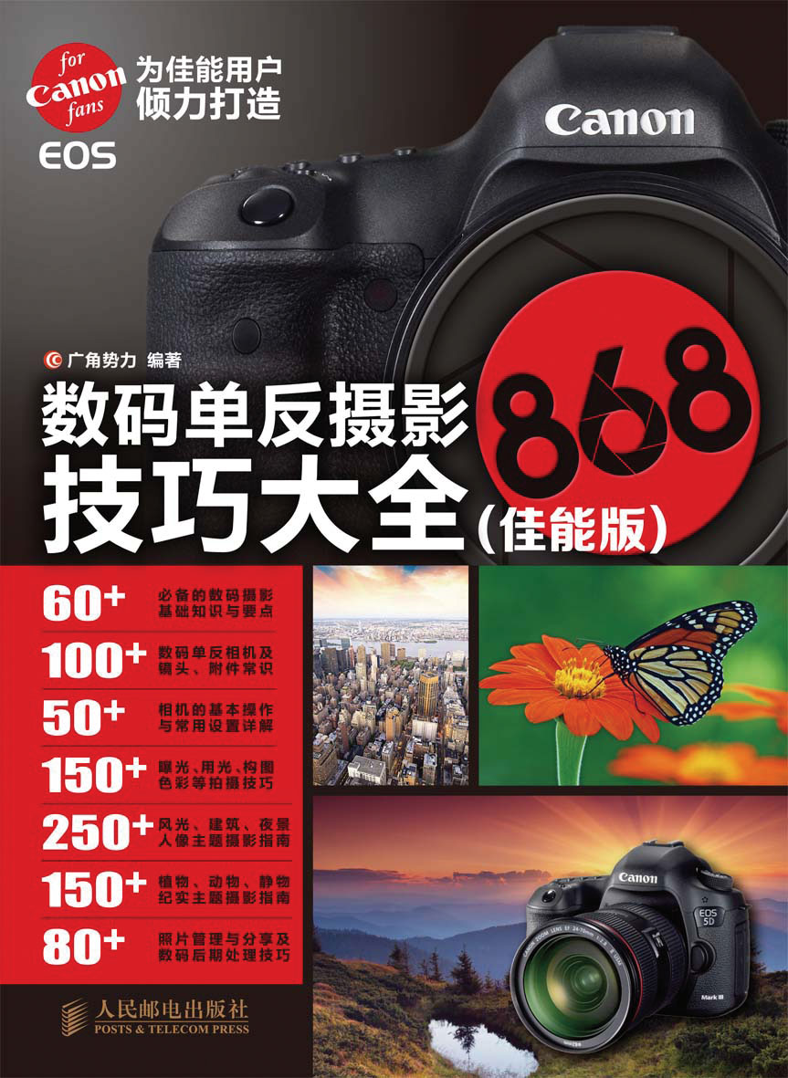数码单反摄影技巧大全868（尼康版）（摄影客出品）