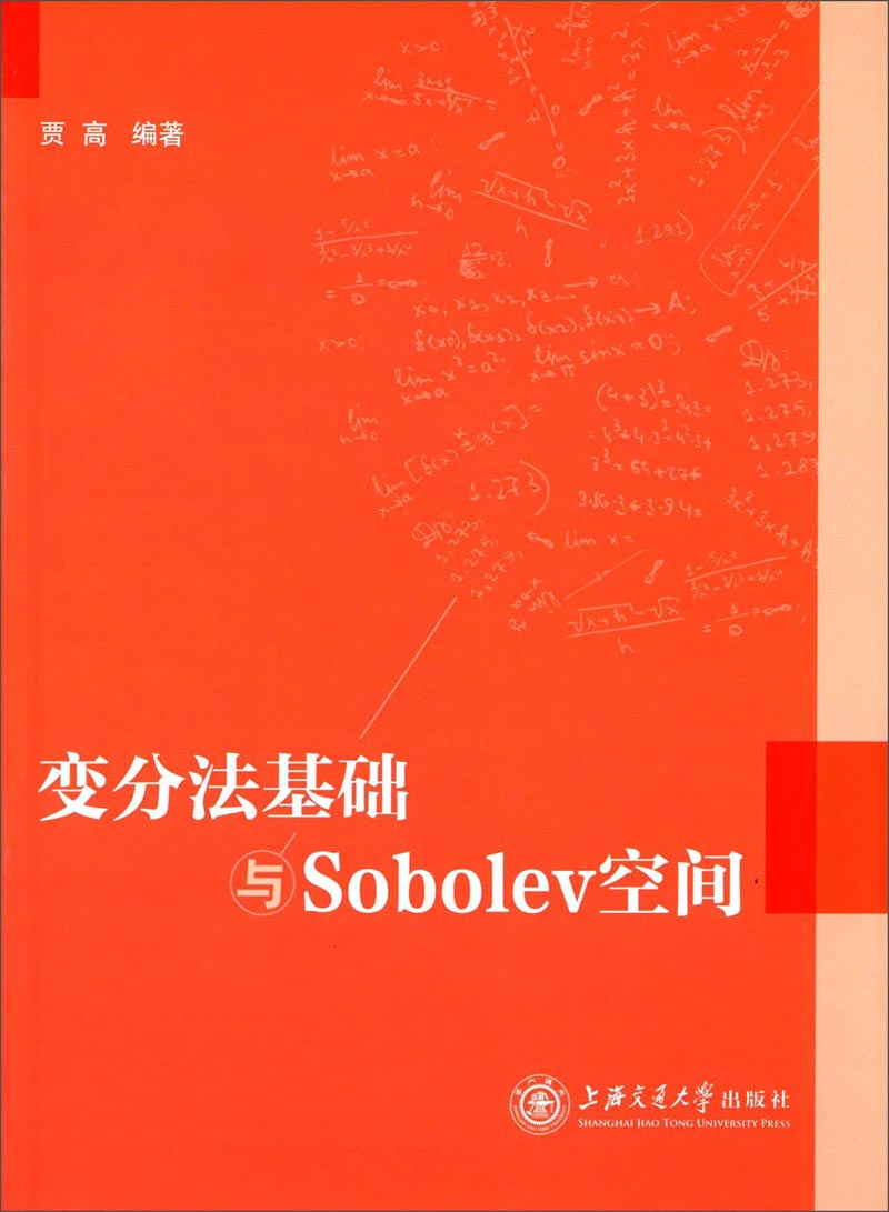 变分法基础与Sobolev空间