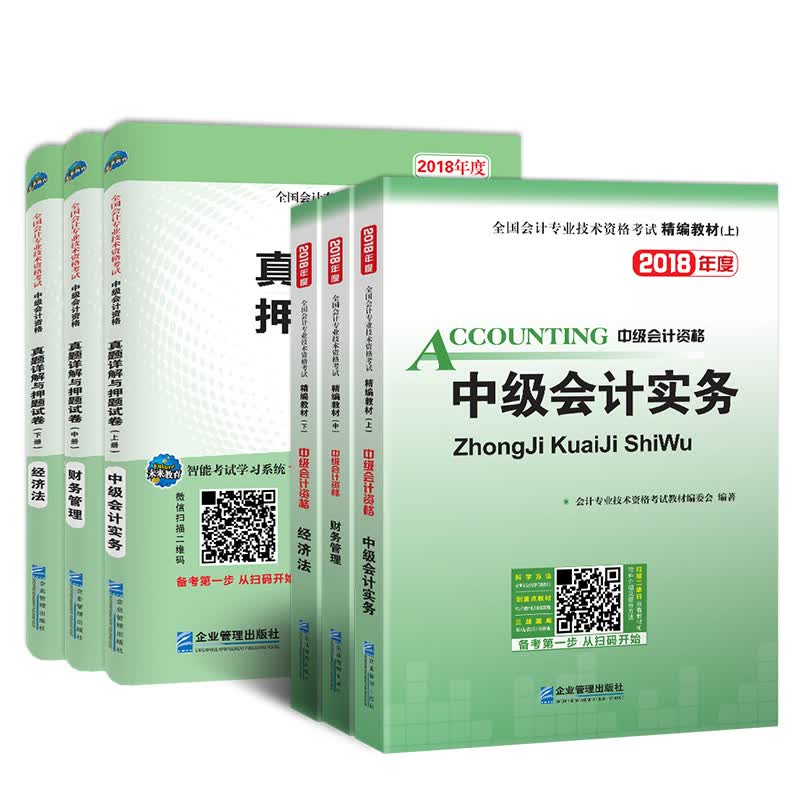 备考2019 中级会计职称2018备考2019 中级会计职称考试精编教材真题详解与押题试卷备考2019 中级会计实务+财务管理+经济法（套装共6册）