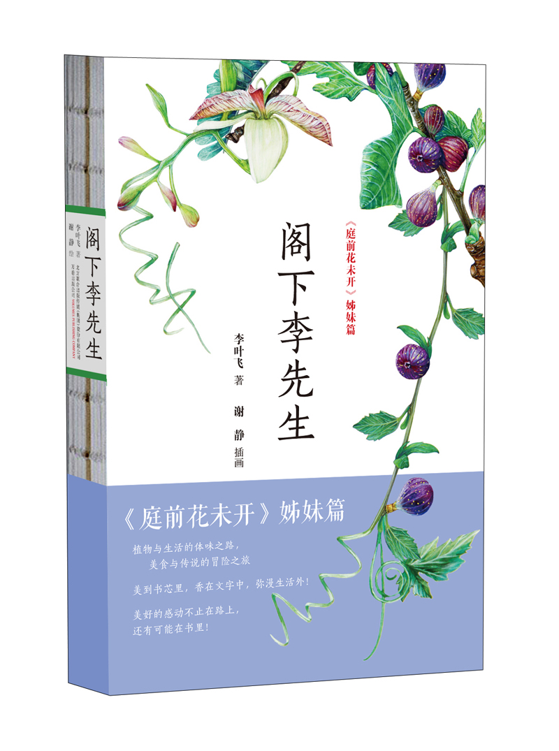 阁下李先生 社会科学 李叶飞著 万卷出版公司 9787547045909