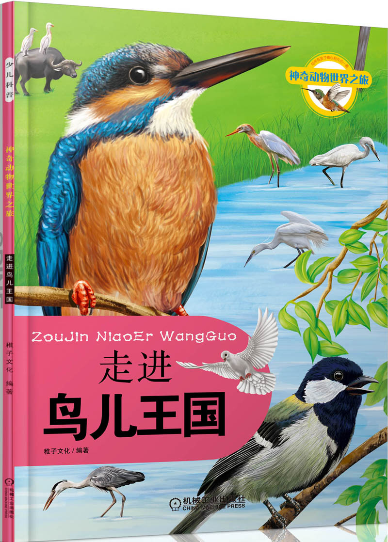 神奇动物世界之旅：走进鸟儿王国