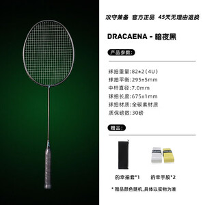 哪儿买 的幸汉阳造 羽毛球拍 其它品牌Other 中羽在线 badmintoncn.com 哪里买 去哪买