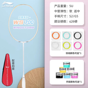 哪儿买 WindStorm 72Speed/Power WS72S WS72P 风暴72S 风暴72P AYPU069 AYPU071 羽毛 ...