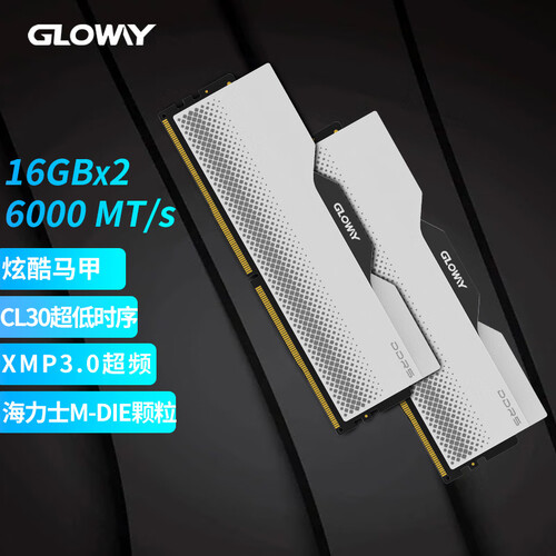 光威（Gloway）32GB(16GBx2)套装 DDR5 6000 台式机内存条 龙武系列 海力士M-die颗粒 CL30 Deepseek硬件 649元(送赠品,月销5000+)-聚超值
