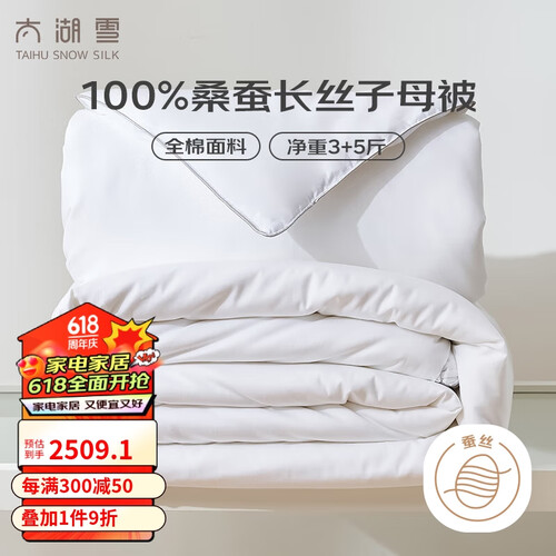 太湖雪蚕丝被 太湖雪 100%桑蚕长丝子母被 200*230cm 白色多少钱-聚超值