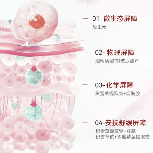 DR. YS 野森博士面膜纸 DR. YS 野森博士【AOUFSE/澳芙雪特证】377专研美白淡斑面膜组合可选5片/盒B-fx 377美白淡斑面膜1盒多少钱-聚超值